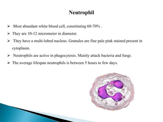 BLOOD - its Components and Function | PPTX