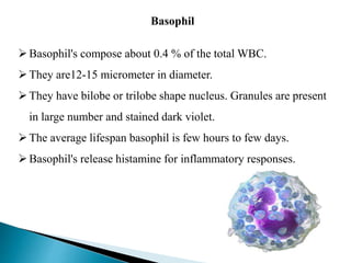 BLOOD - its Components and Function | PPTX