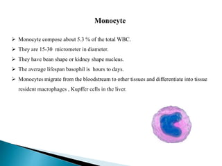 BLOOD - its Components and Function | PPTX