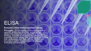 Paper Based ELISA | PPT