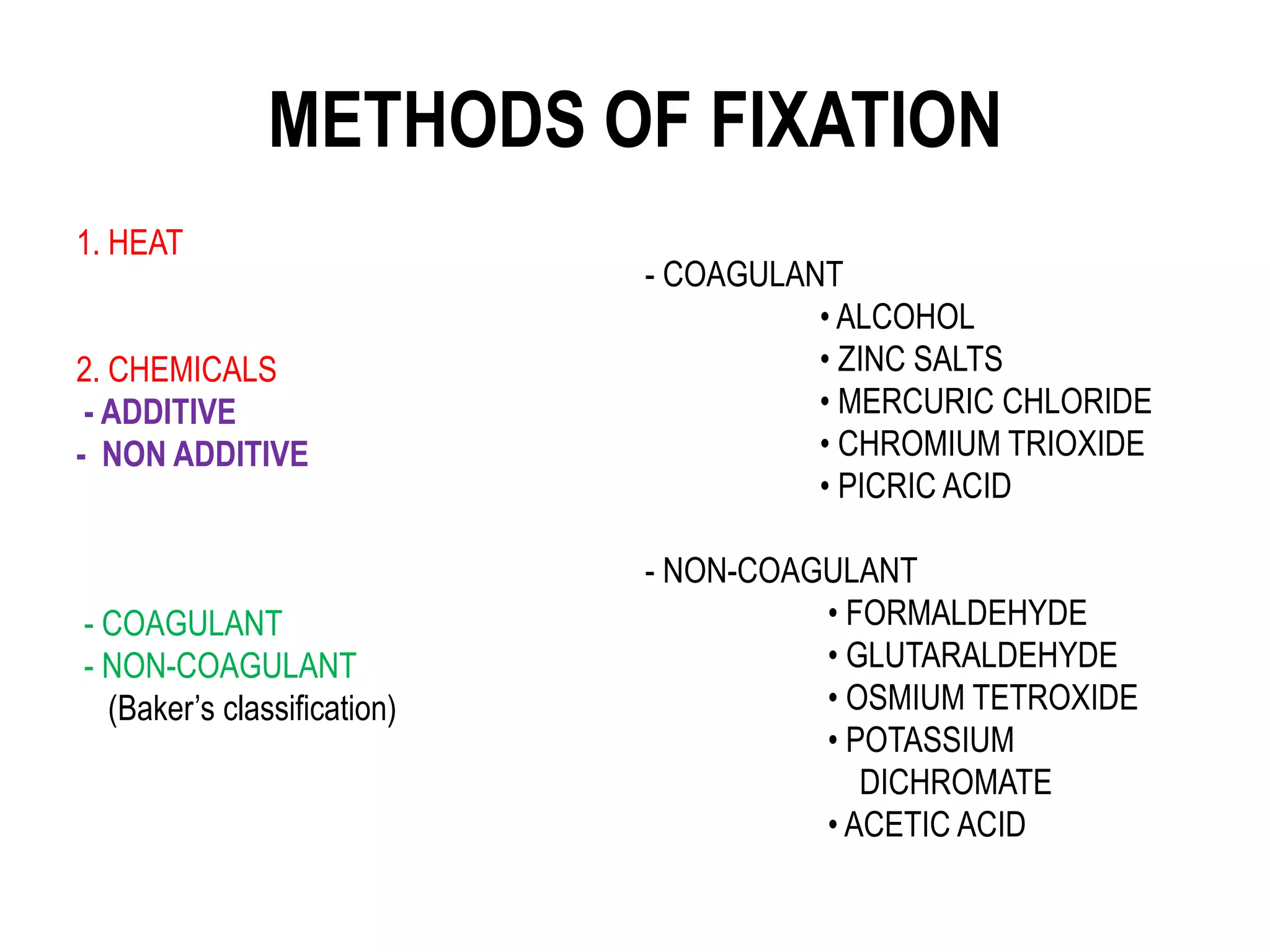 Fixation | PPTX