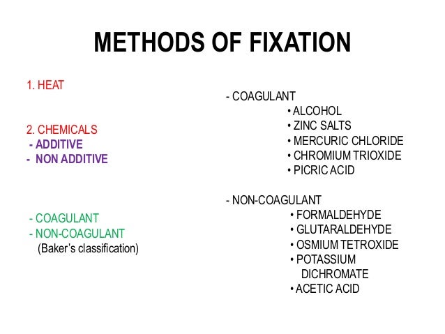 Fixation