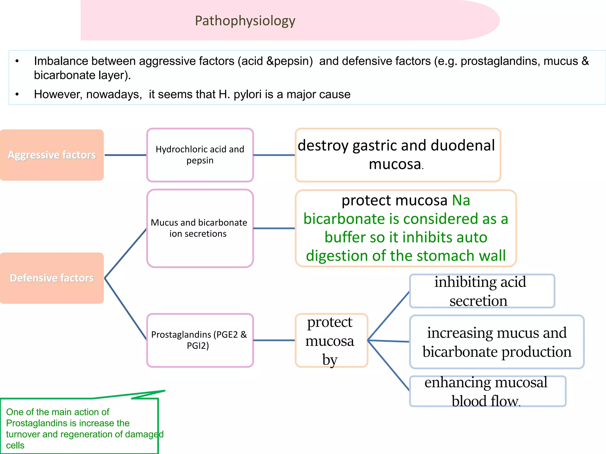 Peptic Ulcer Disease.pptx