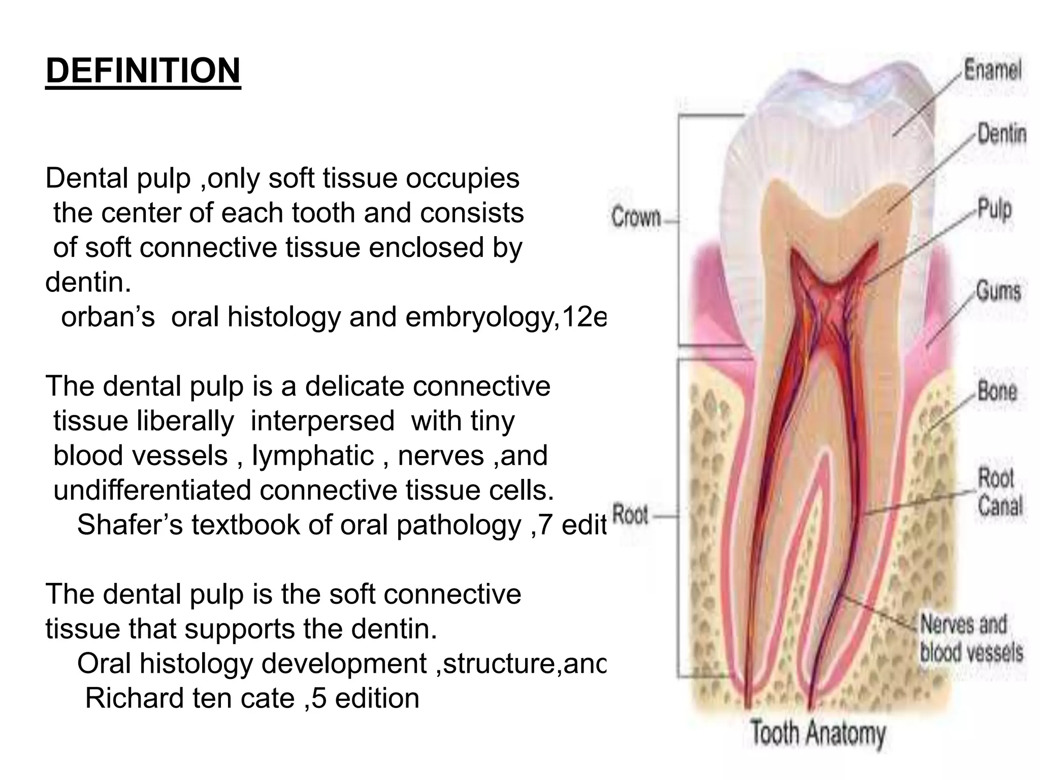 Pulp and cementum | PPTX