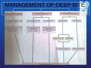 deep bite management | PPTX