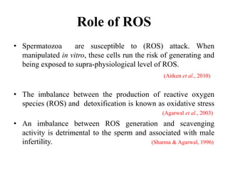 Mechanisms involved in Reactive oxygen species induced sperm damages ...