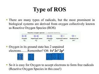 Mechanisms involved in Reactive oxygen species induced sperm damages ...