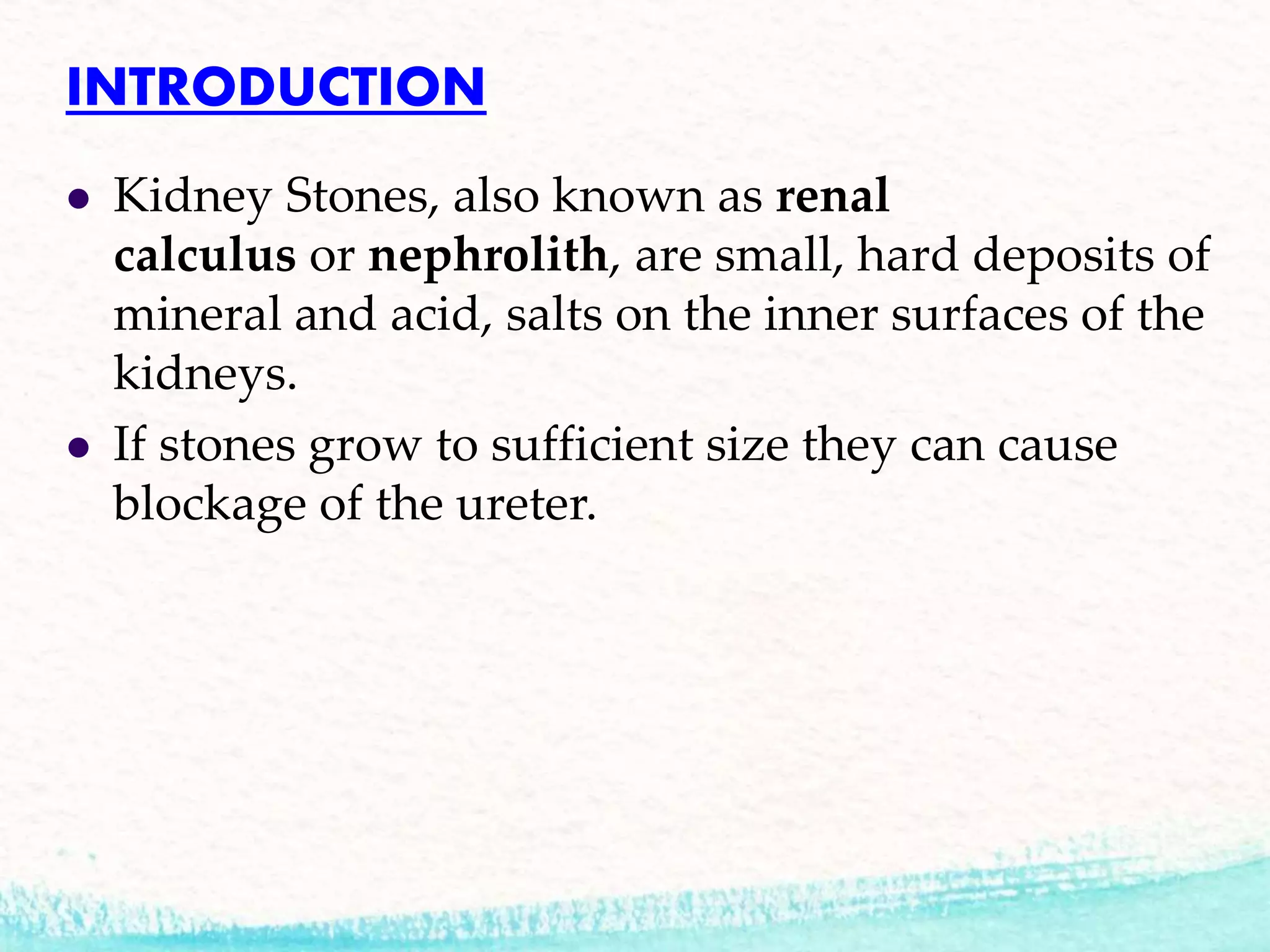 Seminar renal stone on 24.10.16