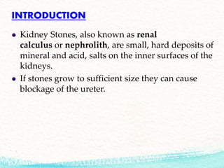 Seminar renal stone on 24.10.16