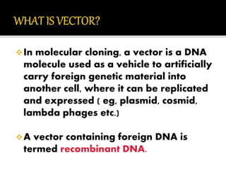 vectors used in gene therapy | PPTX