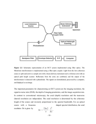 Optical Coherence Tomography: Technology and applications for neuroimaging | PDF
