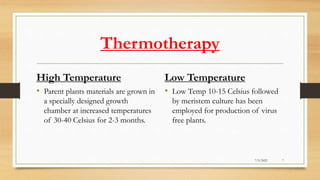 Seminar Sarah 51 Slide Producing disease free plants in vitro means.pptx | Gardening | Home & Garden