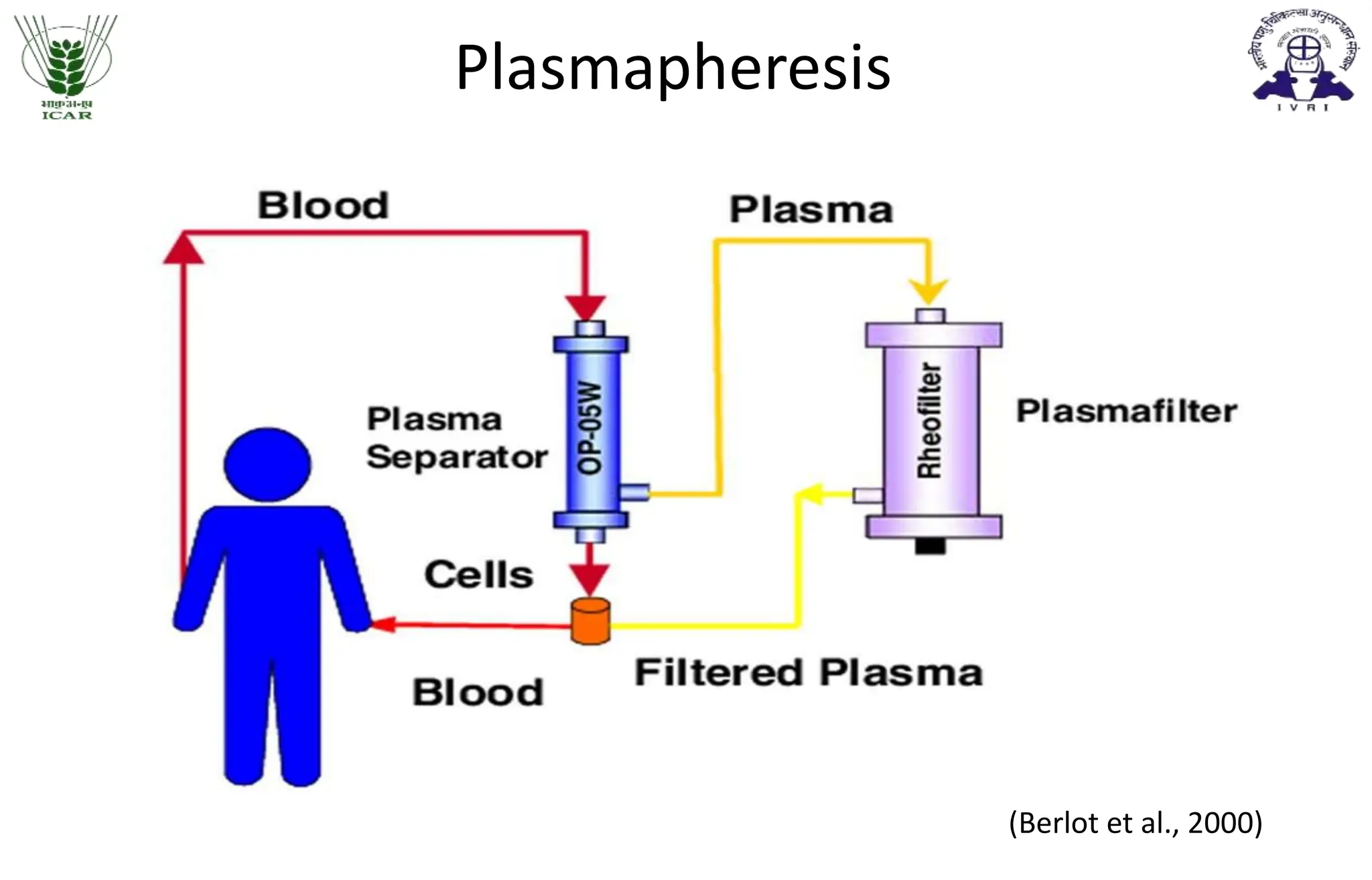 Seminar saurabh 2.pptx Seminar on blood purification | PPT
