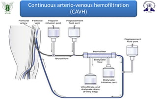 Extracorporeal blood purification in dogs | PPTX