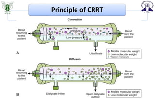 Extracorporeal blood purification in dogs | PPT