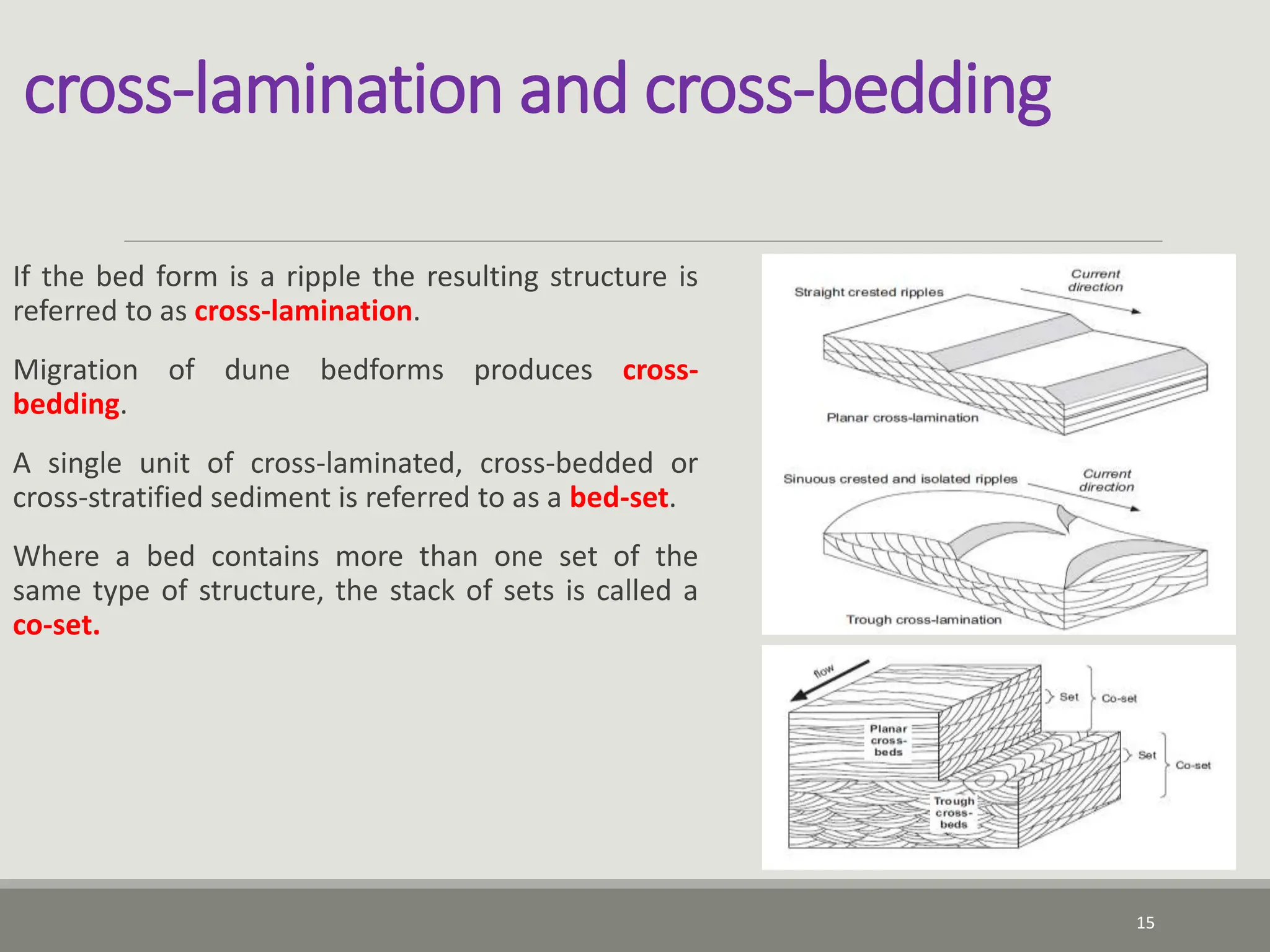 sedimentary structure is the feature in sedimentary rock , to ...