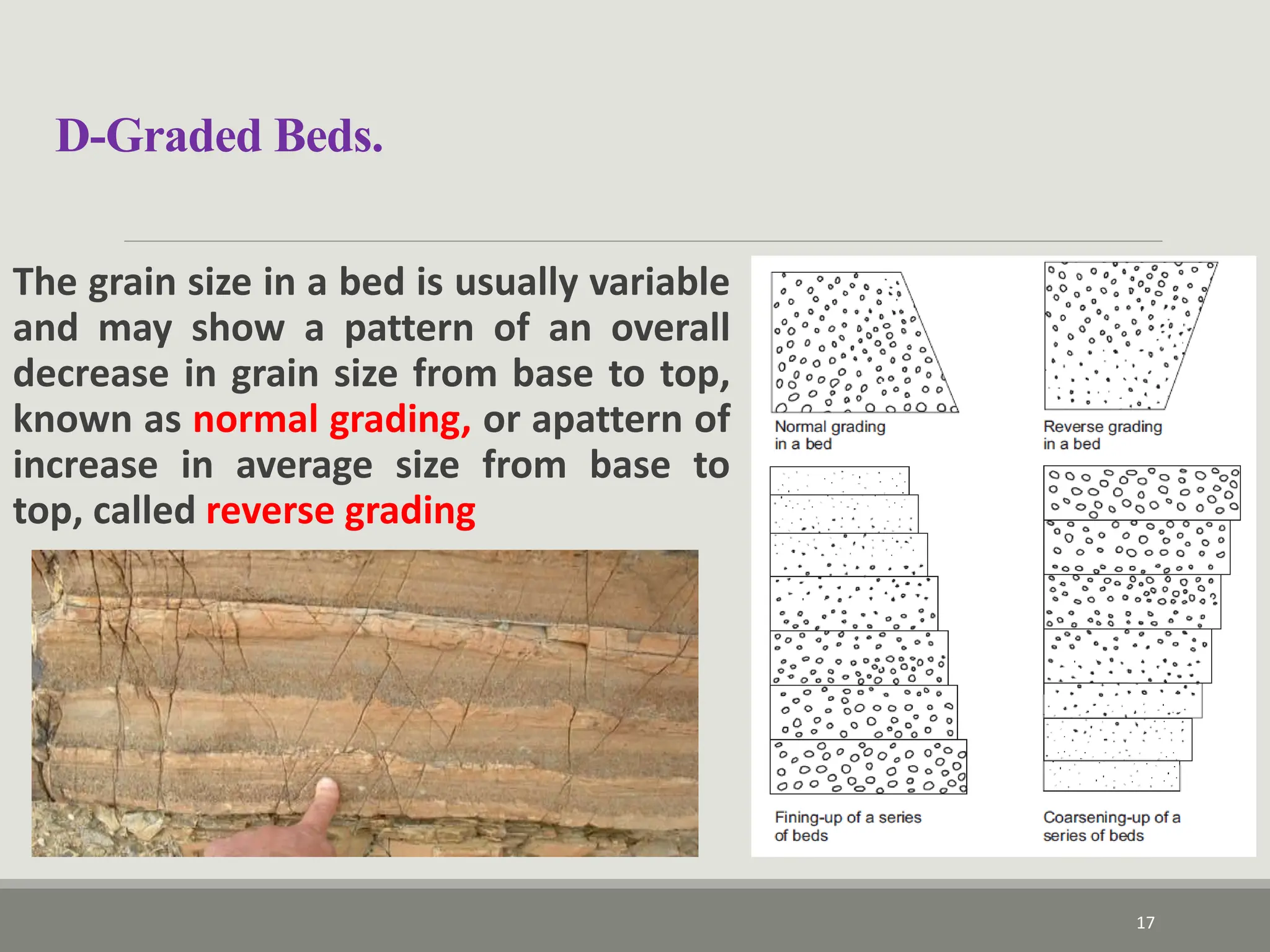 sedimentary structure is the feature in sedimentary rock , to ...
