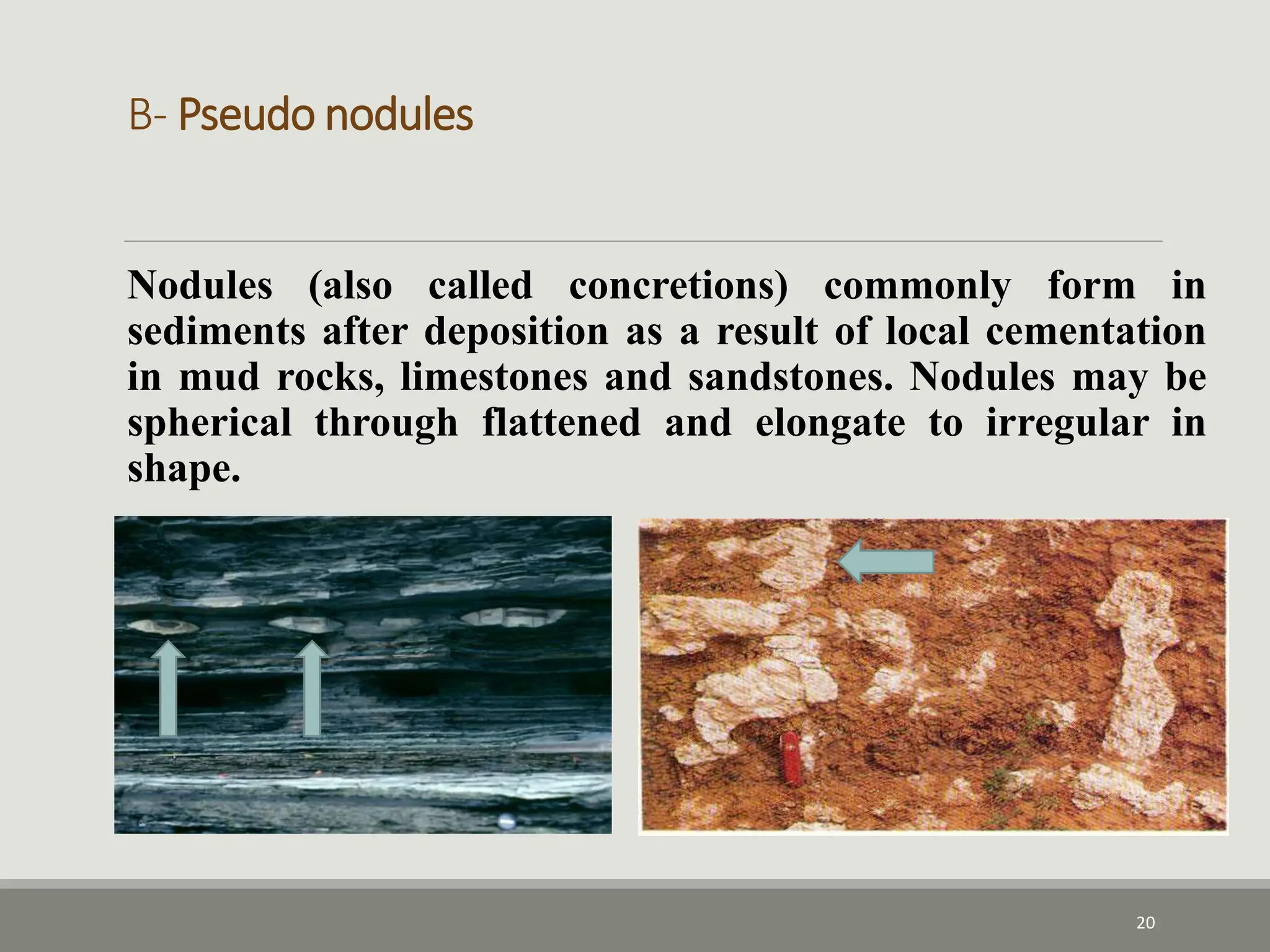 sedimentary structure is the feature in sedimentary rock , to ...