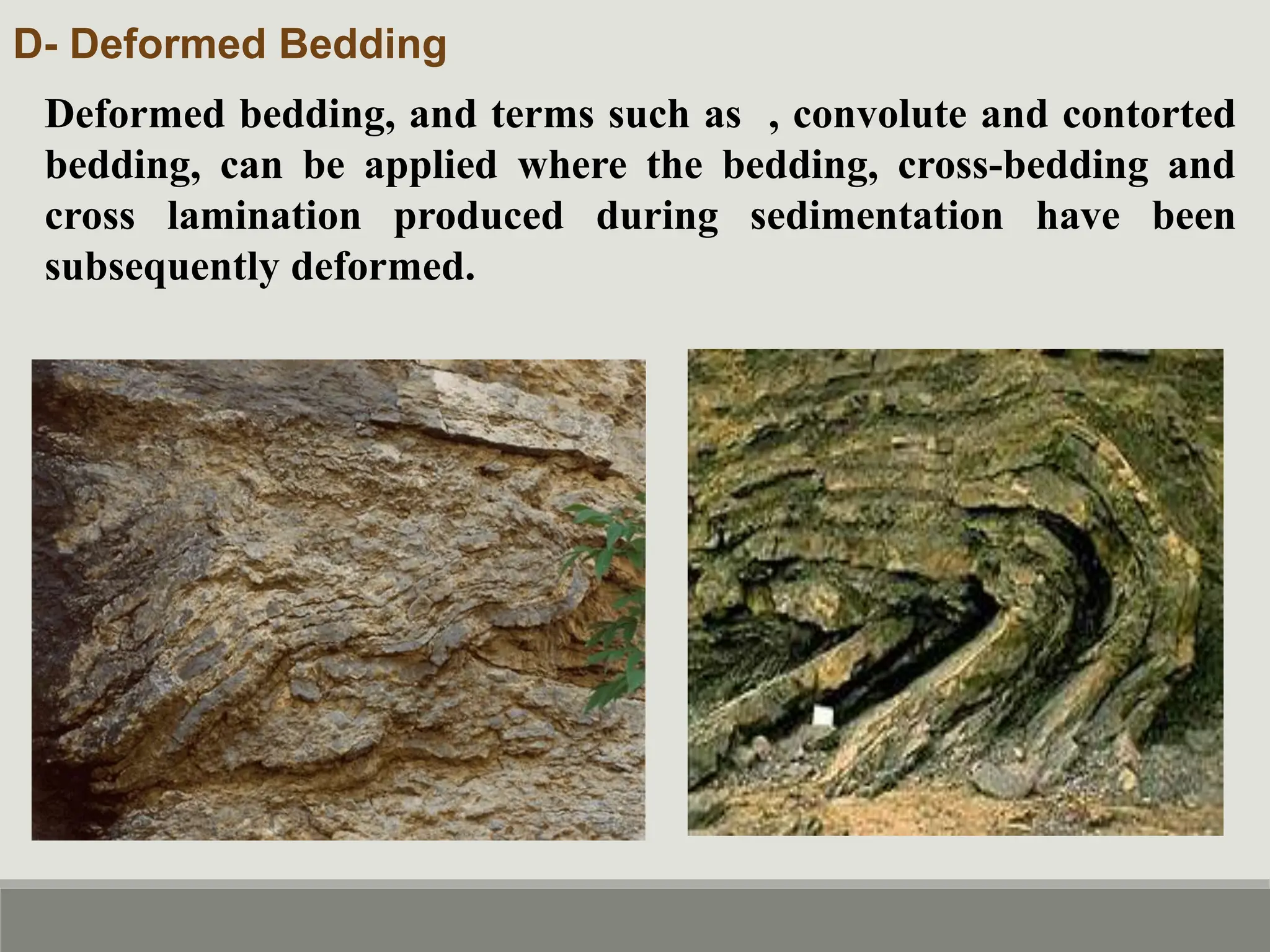 sedimentary structure is the feature in sedimentary rock , to distinguishe body op sedimentary ...