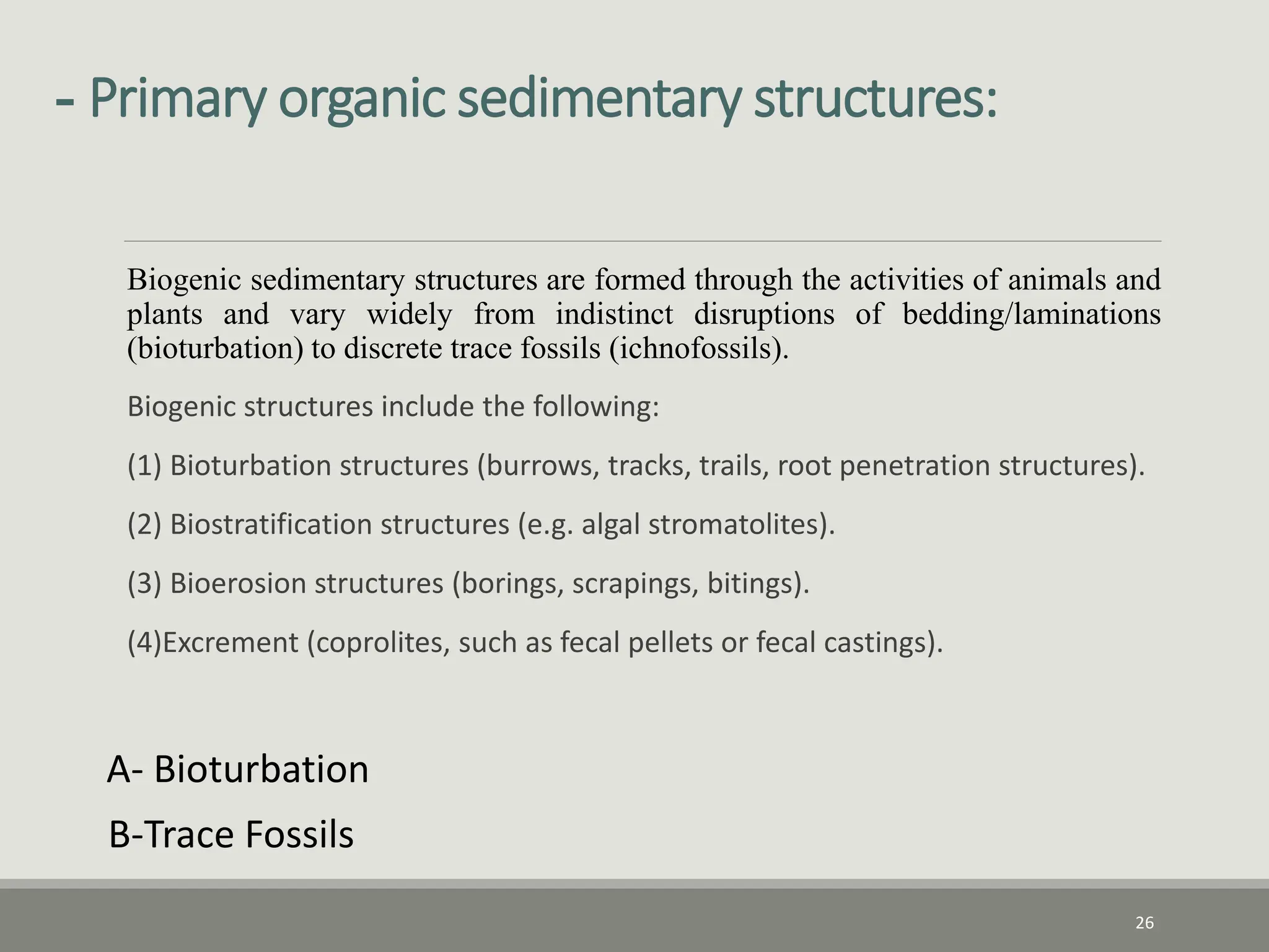 sedimentary structure is the feature in sedimentary rock , to ...