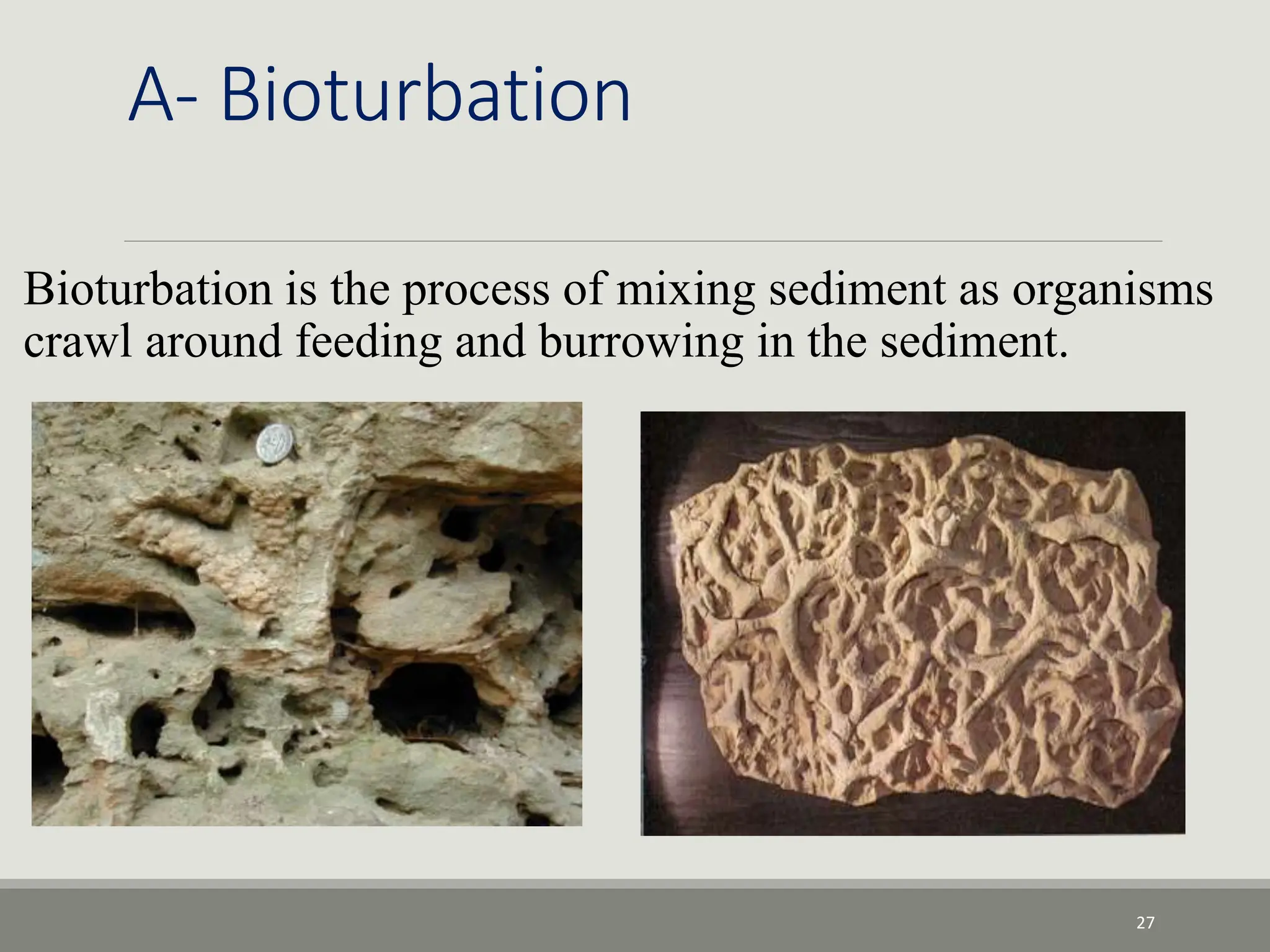 sedimentary structure is the feature in sedimentary rock , to ...