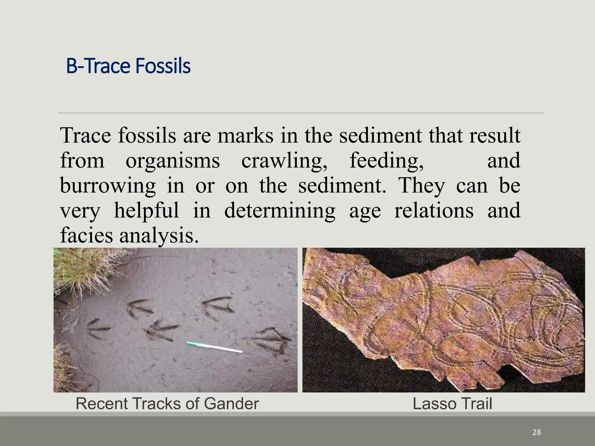 sedimentary structure is the feature in sedimentary rock , to ...
