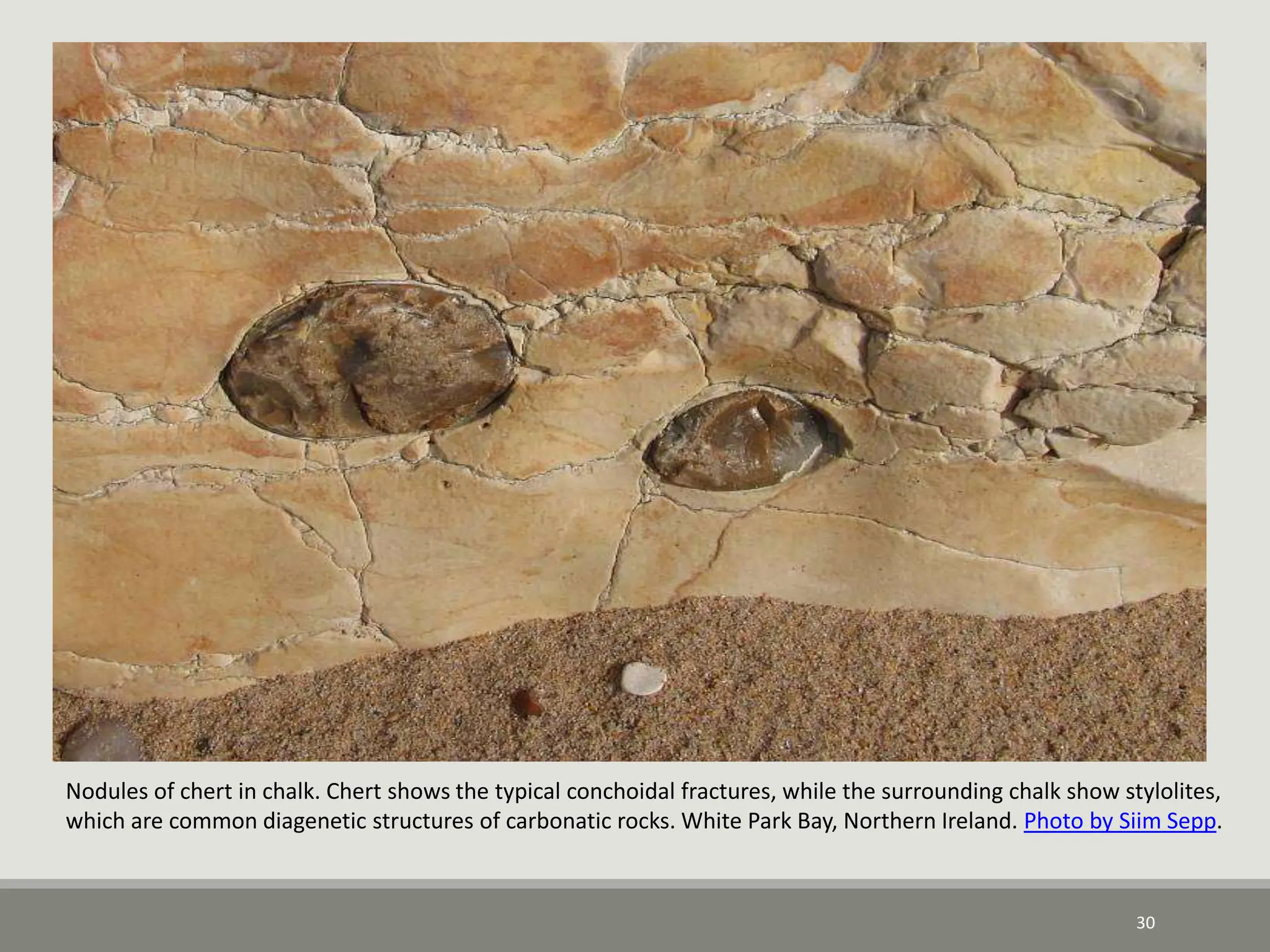 sedimentary structure is the feature in sedimentary rock , to ...