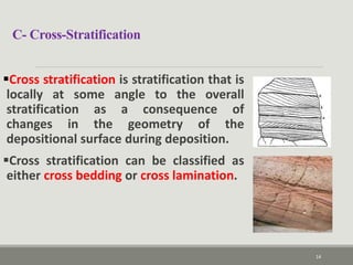 sedimentary structure is the feature in sedimentary rock , to ...