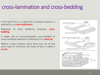 sedimentary structure is the feature in sedimentary rock , to ...