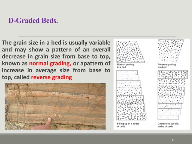 sedimentary structure is the feature in sedimentary rock , to ...