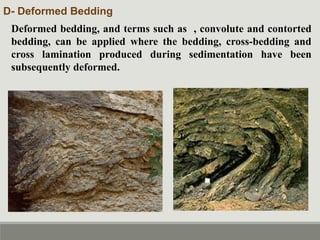 sedimentary structure is the feature in sedimentary rock , to ...