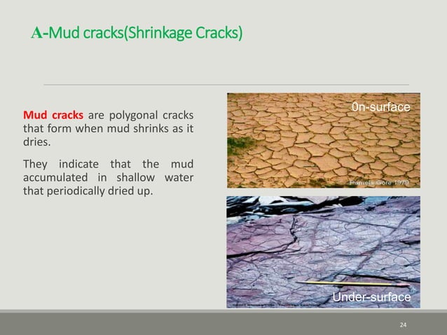sedimentary structure is the feature in sedimentary rock , to ...