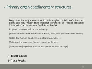 sedimentary structure is the feature in sedimentary rock , to ...