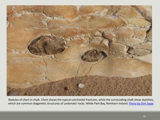 sedimentary structure is the feature in sedimentary rock , to ...