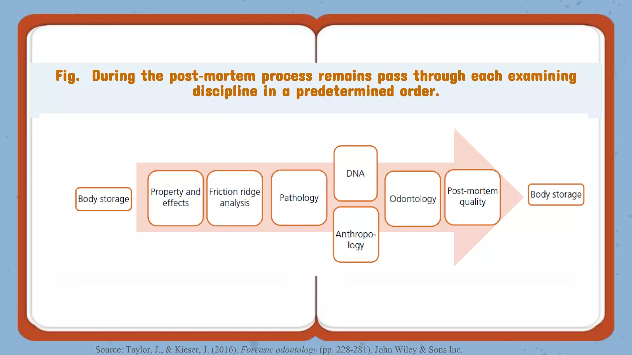 Disaster Victim Identification (DVI) | PPTX