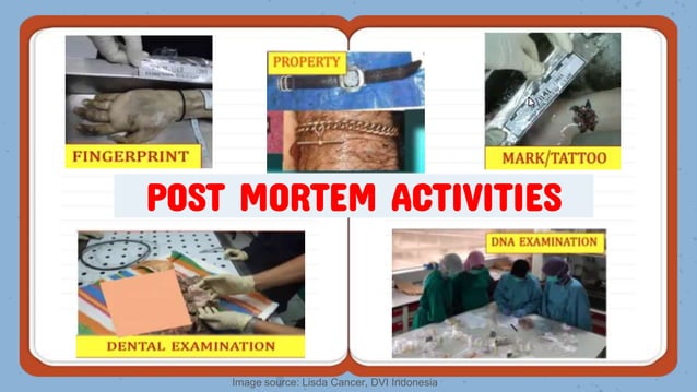 Disaster Victim Identification (DVI) | PPTX | Disasters