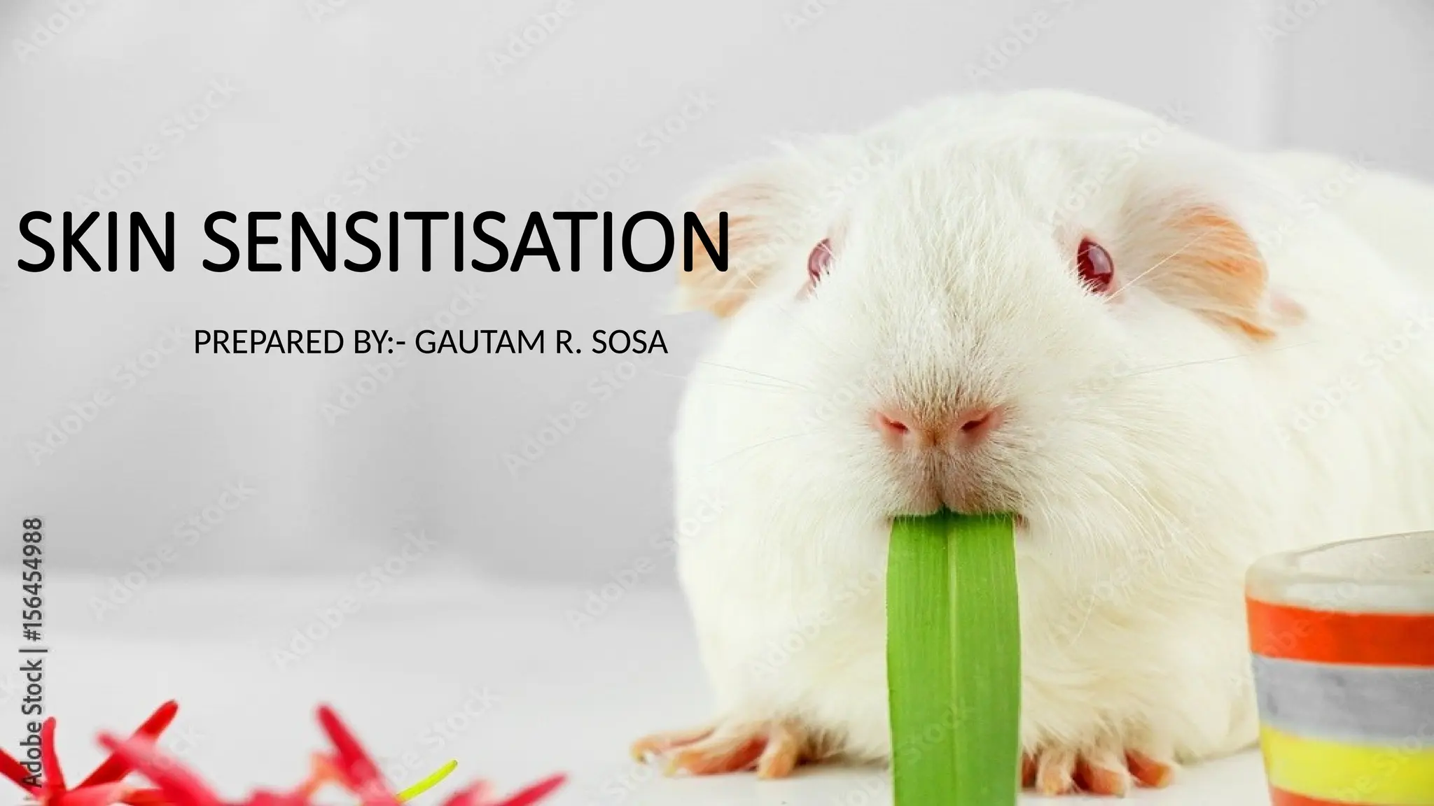 Skin Sensitisation Testing on Guinea Pig (OECD Guideline 406).pptx