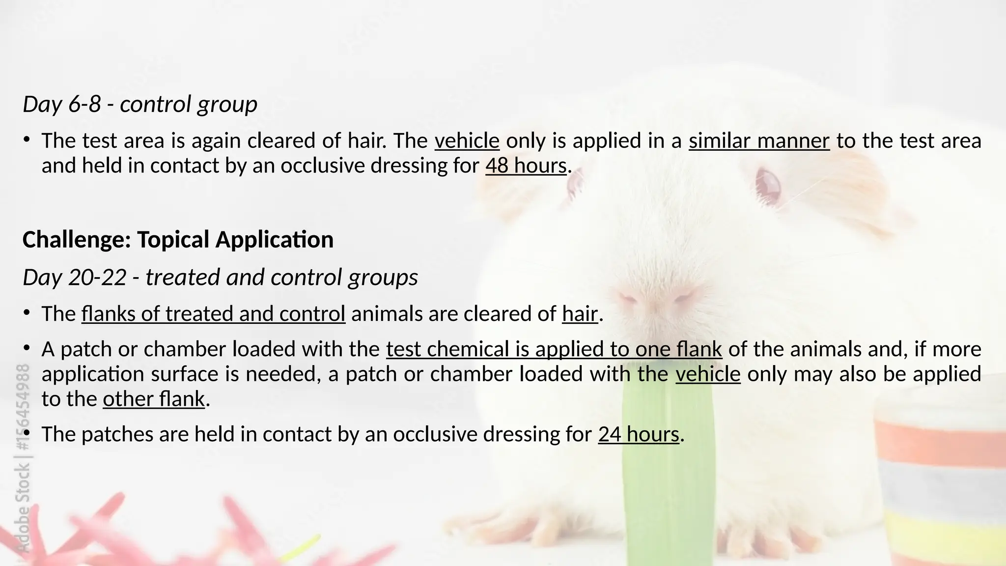 Skin Sensitisation Testing on Guinea Pig (OECD Guideline 406).pptx
