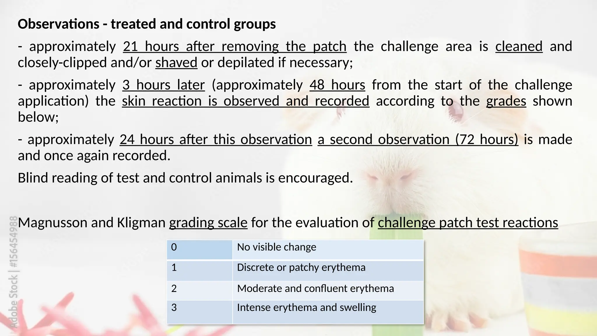 Skin Sensitisation Testing on Guinea Pig (OECD Guideline 406).pptx