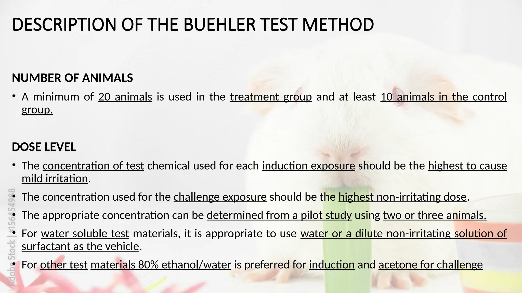 Skin Sensitisation Testing on Guinea Pig (OECD Guideline 406).pptx