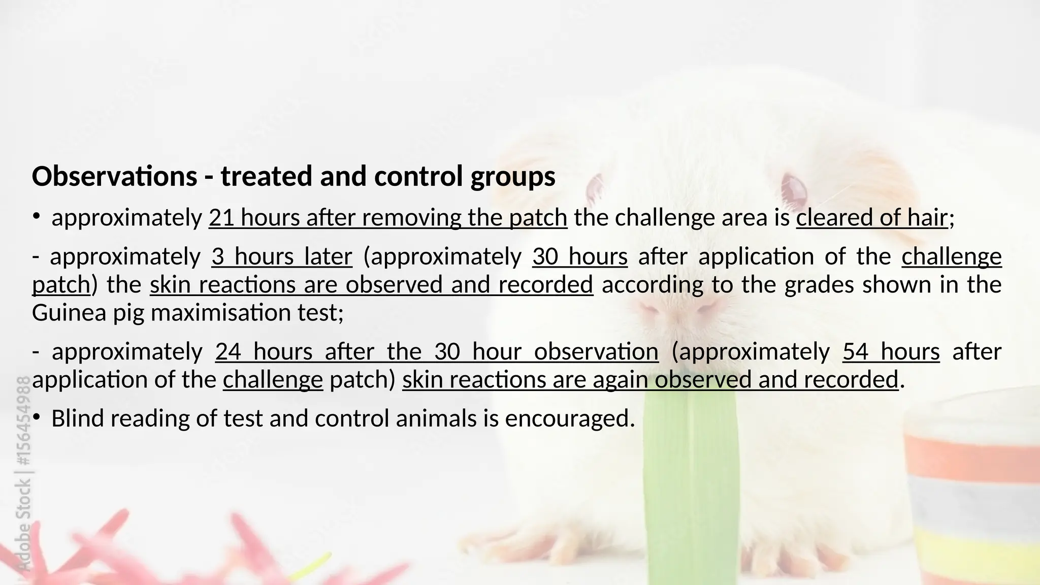 Skin Sensitisation Testing on Guinea Pig (OECD Guideline 406).pptx