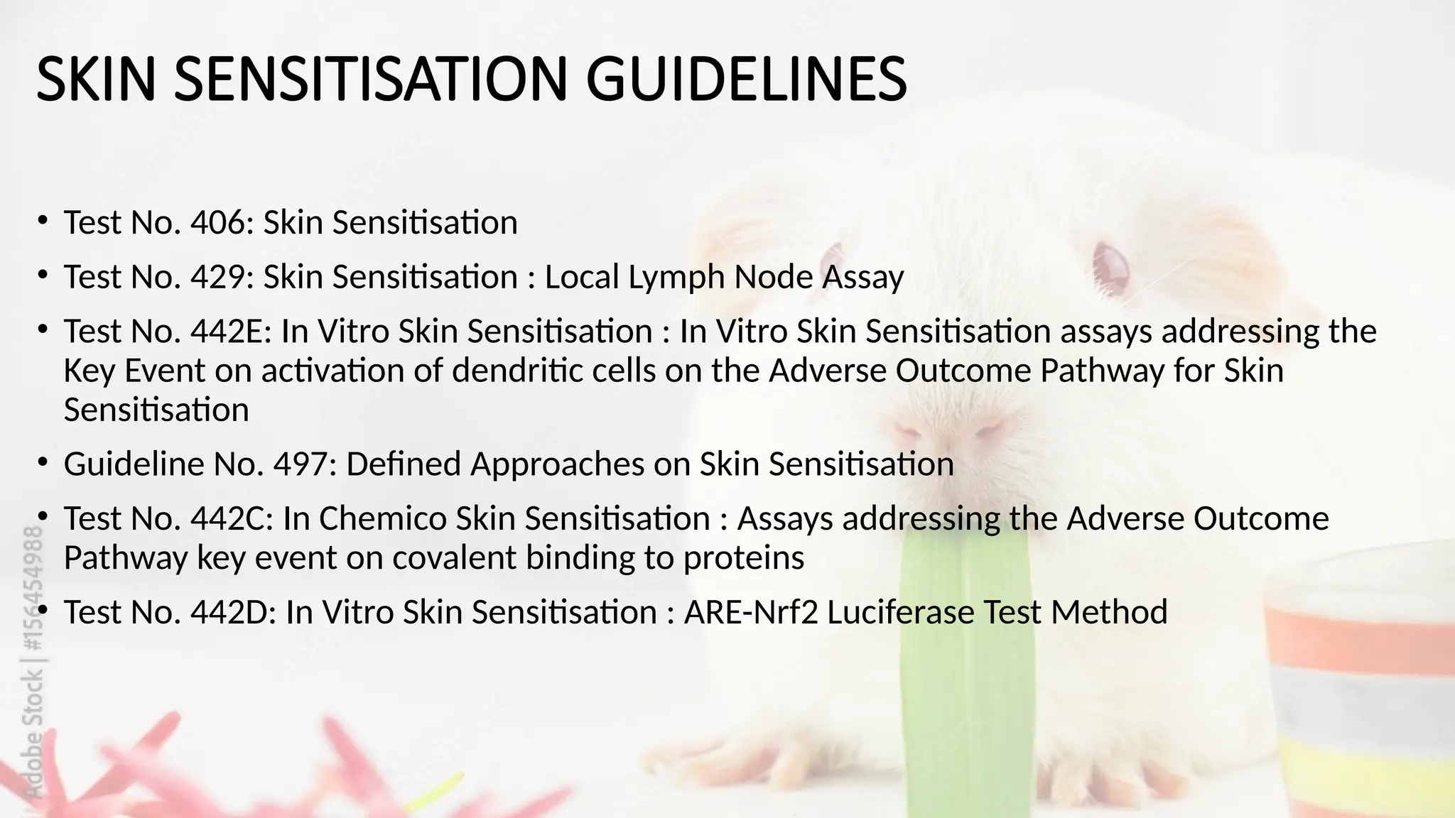 Skin Sensitisation Testing on Guinea Pig (OECD Guideline 406).pptx