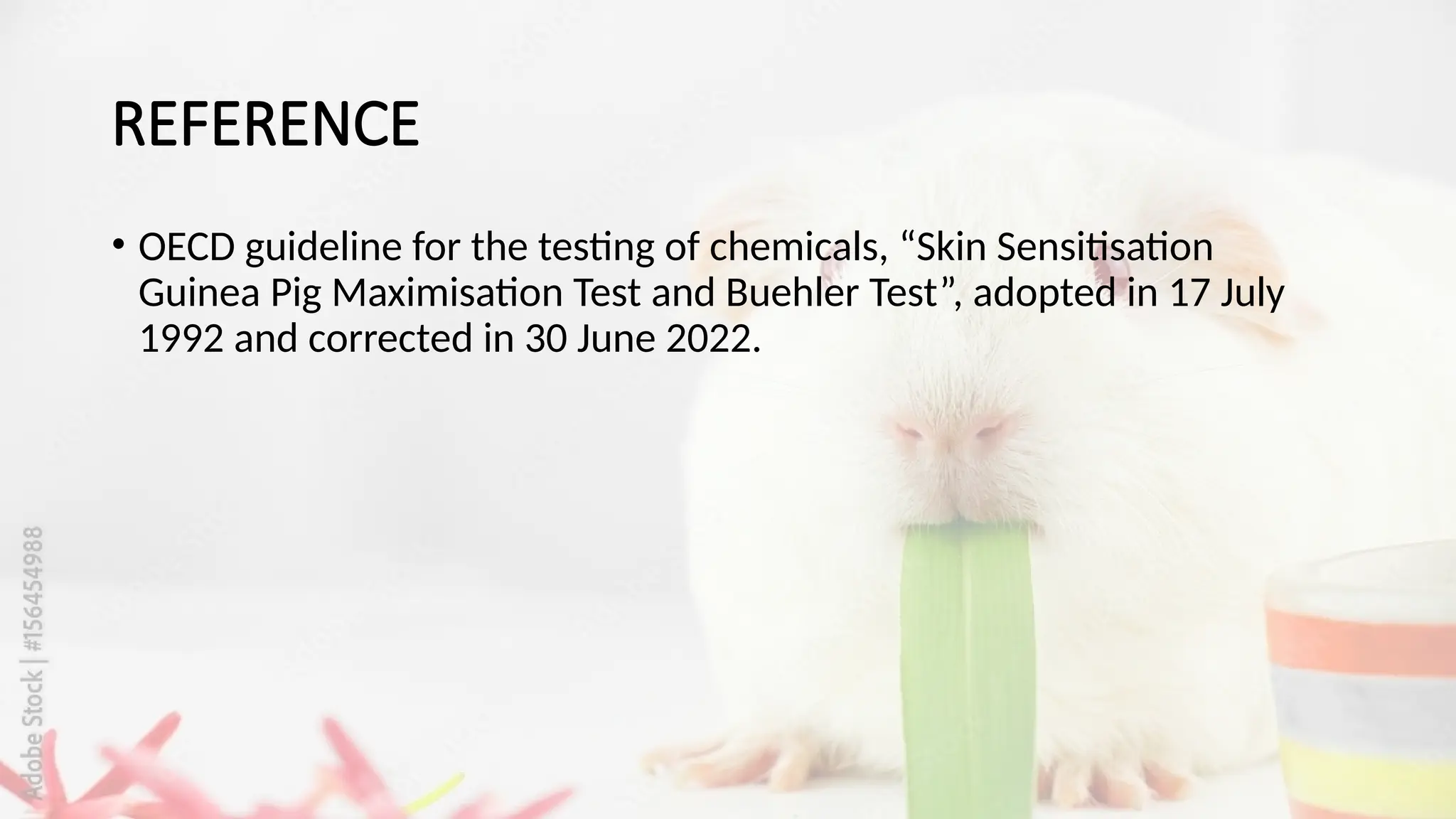 Skin Sensitisation Testing on Guinea Pig (OECD Guideline 406).pptx