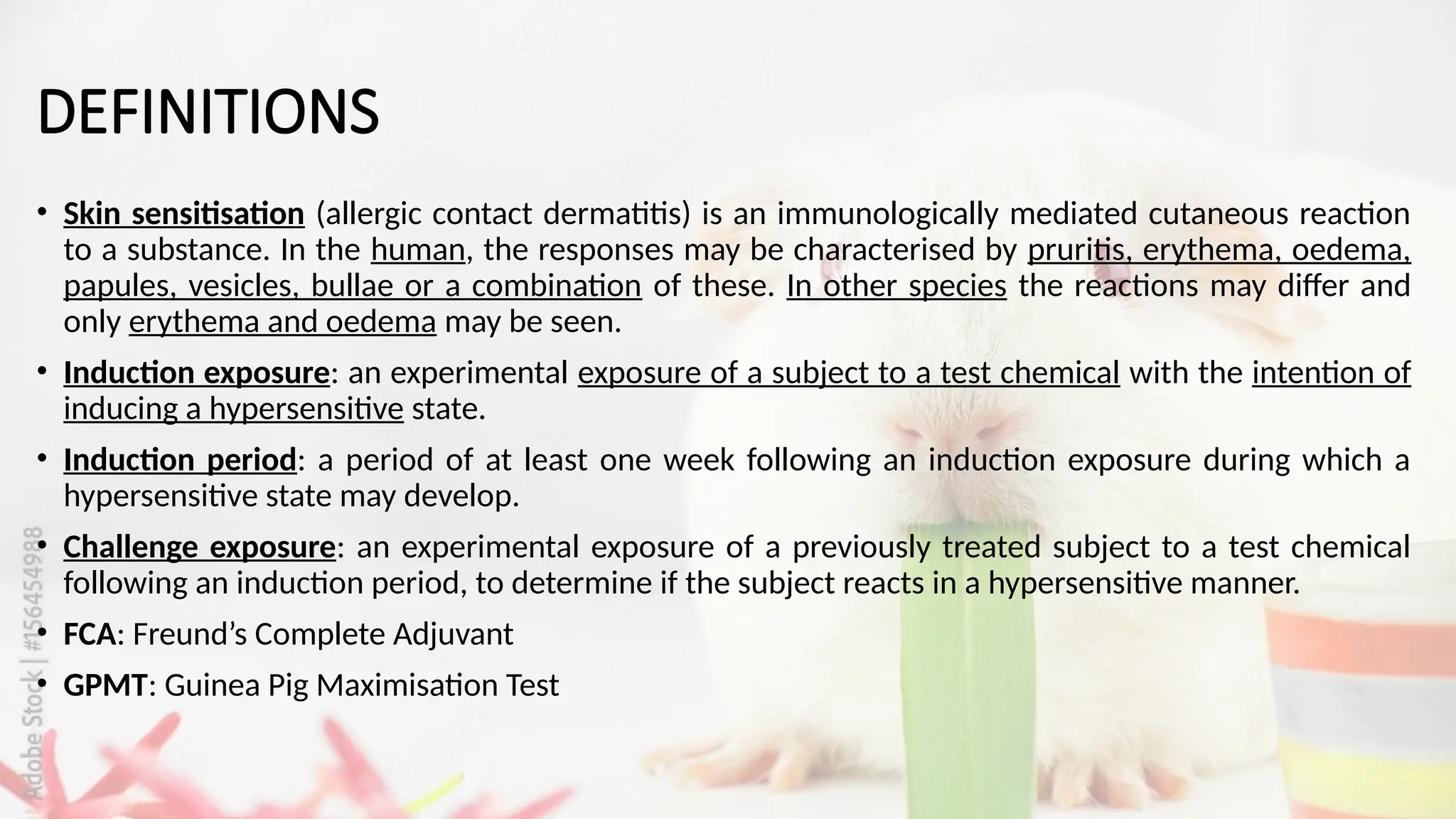 Skin Sensitisation Testing on Guinea Pig (OECD Guideline 406).pptx