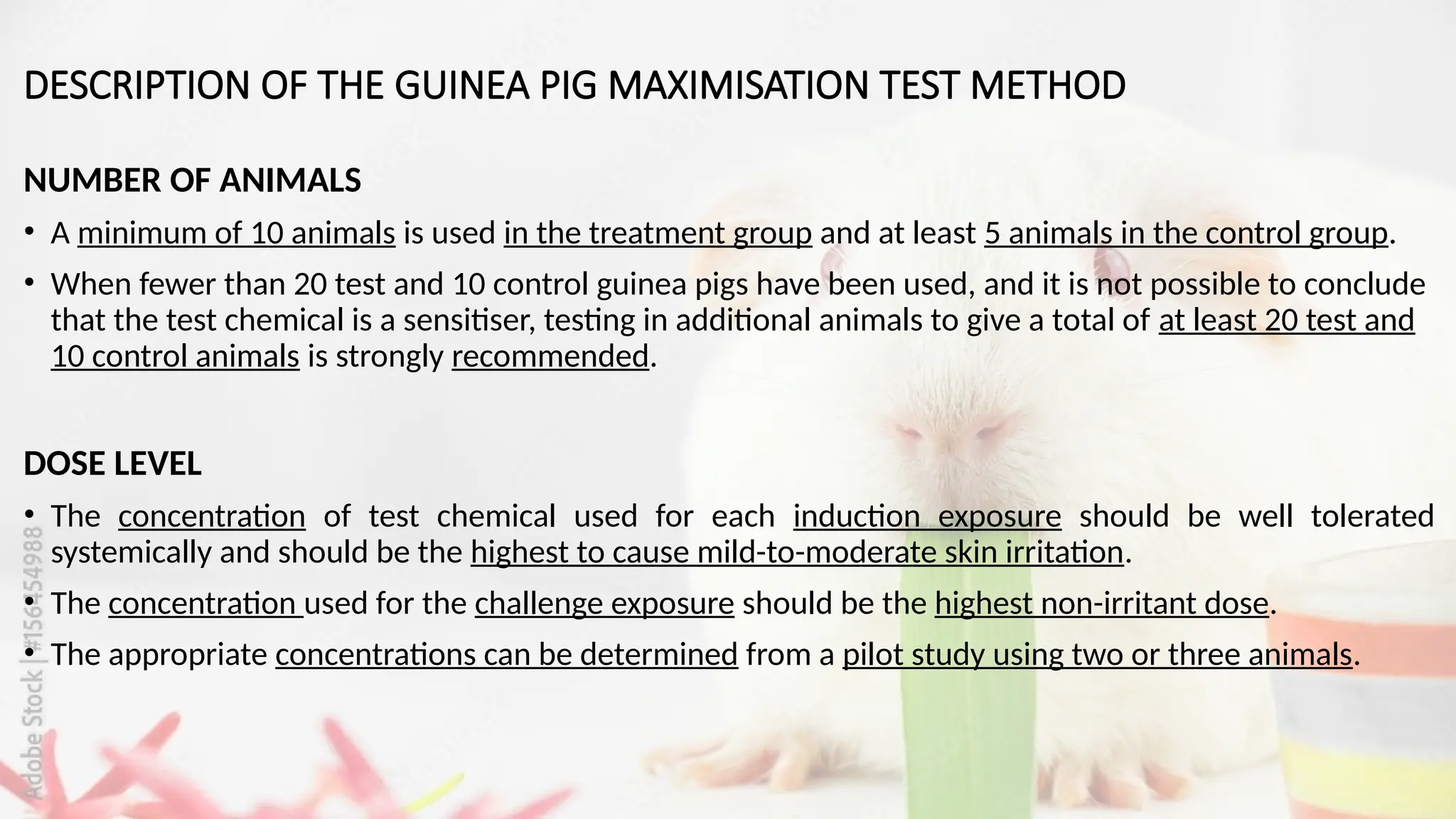 Skin Sensitisation Testing on Guinea Pig (OECD Guideline 406).pptx