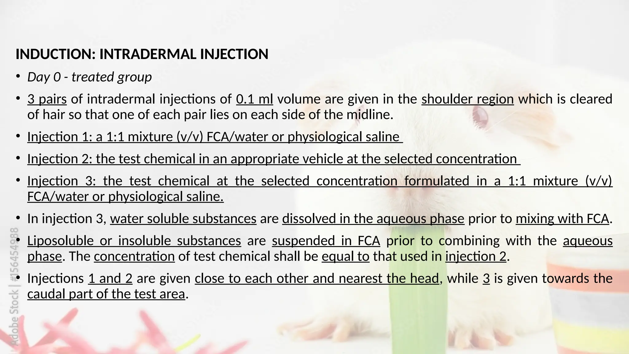 Skin Sensitisation Testing on Guinea Pig (OECD Guideline 406).pptx