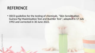 Skin Sensitisation Testing on Guinea Pig (OECD Guideline 406).pptx