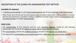 Skin Sensitisation Testing on Guinea Pig (OECD Guideline 406).pptx