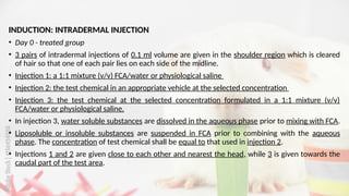 Skin Sensitisation Testing on Guinea Pig (OECD Guideline 406).pptx