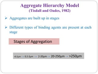 Seminar soil aggregation | PPTX